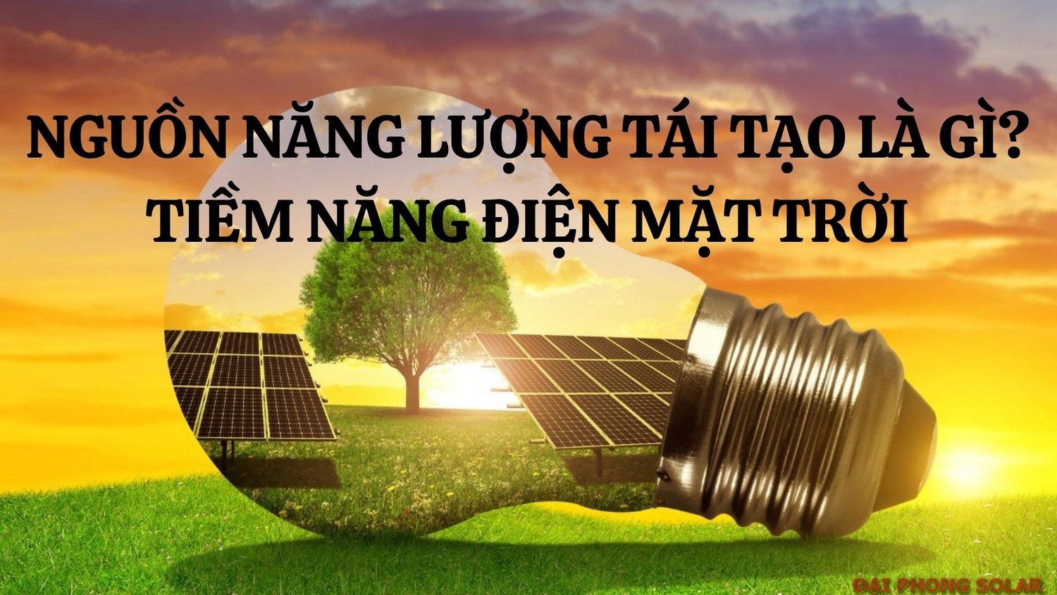Nguồn Năng Lượng Tái Tạo Là Gì? Tiềm Năng Điện Mặt Trời - ĐẠI PHONG SOLAR
